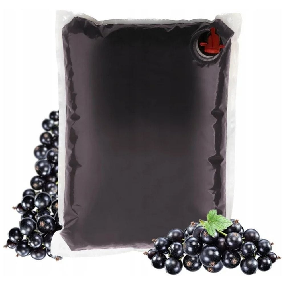 Sadvit Schwarze Johannisbeere & nichts weiter 100% - 5000 ml – Medpak